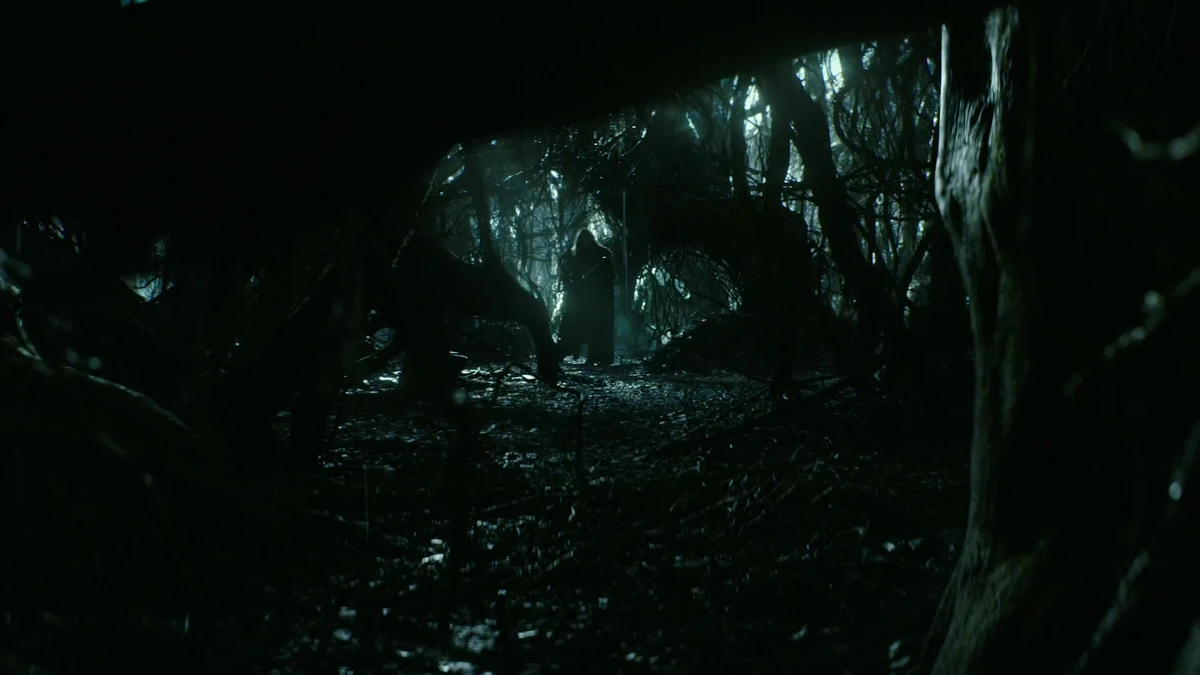 Plague Tree | The Last Witch Hunter Wikia | Fandom