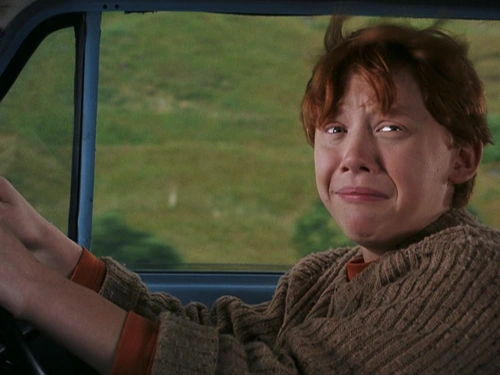 Ron Weasley | The League of Utter Disaster, Chaos, and Insanity Wiki ...