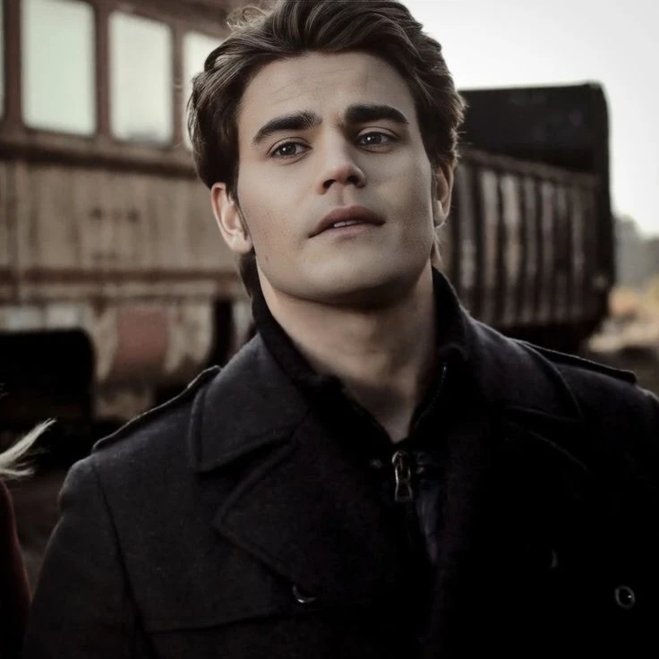 Stefan Salvatore | The Legacy Series Wiki | Fandom