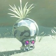Octorok | The Legend Of Zelda: BoTw Wiki | Fandom