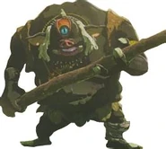 Hinox | The Legend Of Zelda: BoTw Wiki | Fandom