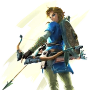 Link | The Legend Of Zelda: BoTw Wiki | Fandom