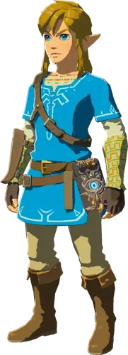 Link | The Legend of Zelda: Scream of the Wild Wiki | Fandom