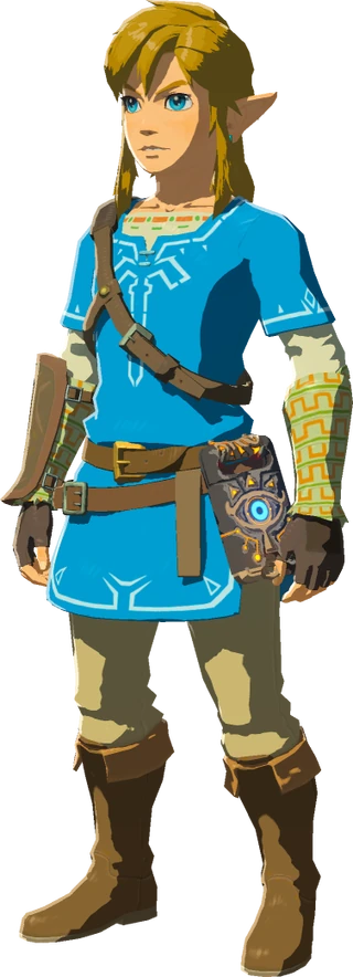 Link | The Legend of Zelda: Scream of the Wild Wiki | Fandom