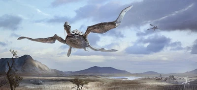 Turtle, Giant Flying | The Legendary Moonlight Sculptor Wiki | Fandom