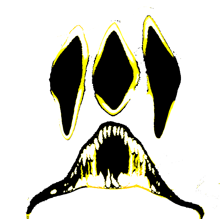 D-15 | The Liminal Rooms Ideas Wiki | Fandom