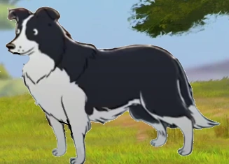 Susan (collie) | The Lion Guard: New Beginning Wiki | Fandom