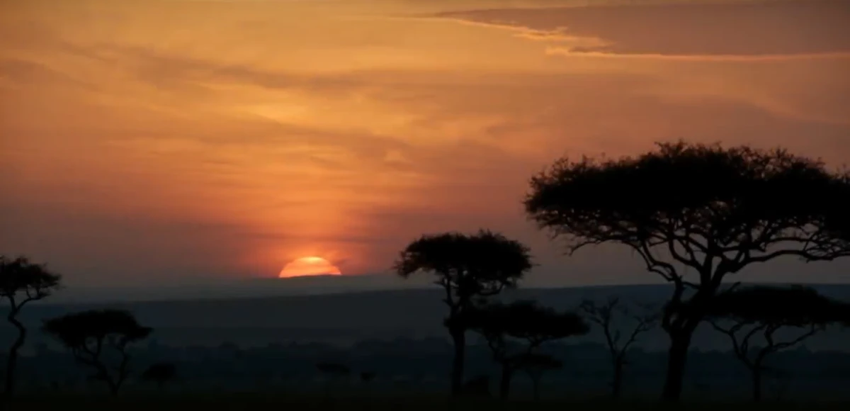 Category:Locations | The Lion King (2019 film) Wiki | Fandom