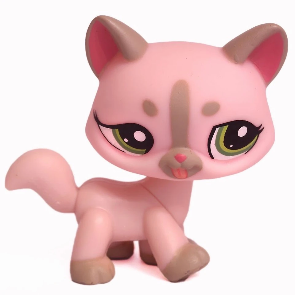 Cat 1326 | Littlest Pet Shop Collector's Wiki | Fandom