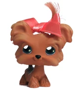 Yorkie 006/Gallery | Littlest Pet Shop Collector's Wiki | Fandom
