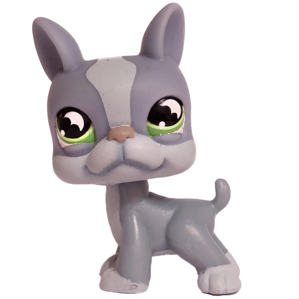 Boston Terrier 857 | Littlest Pet Shop Collector's Wiki | Fandom