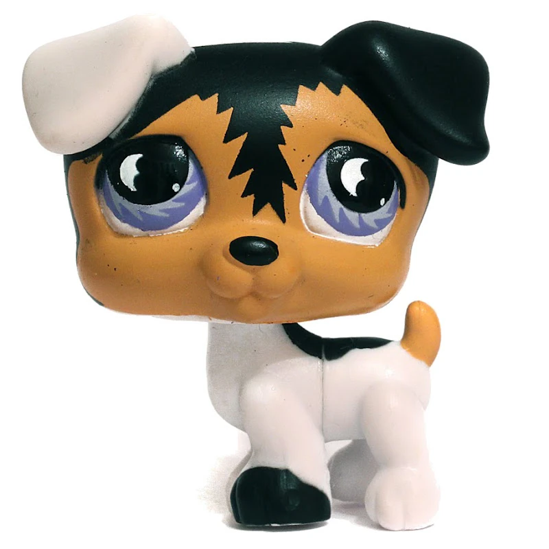 Jack Russell 803 | Littlest Pet Shop Collector's Wiki | Fandom