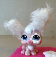 Rabbit 2485 | Littlest Pet Shop Collector's Wiki | Fandom