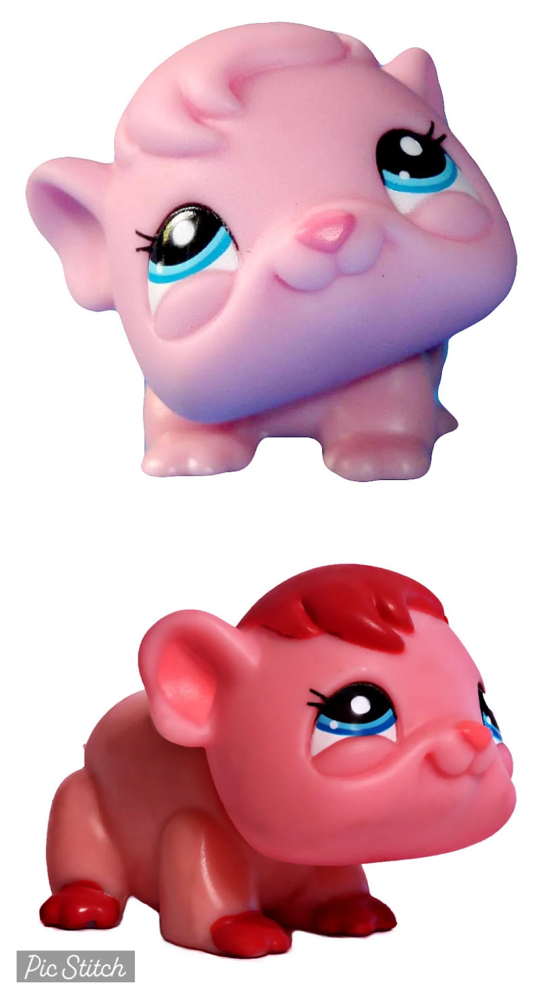 Guinea Pig 2604 | Littlest Pet Shop Collector's Wiki | Fandom