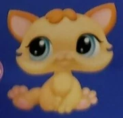 Shorthair Cat 339 | Littlest Pet Shop Collector's Wiki | Fandom