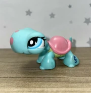 Turtle 1735 | Littlest Pet Shop Collector's Wiki | Fandom