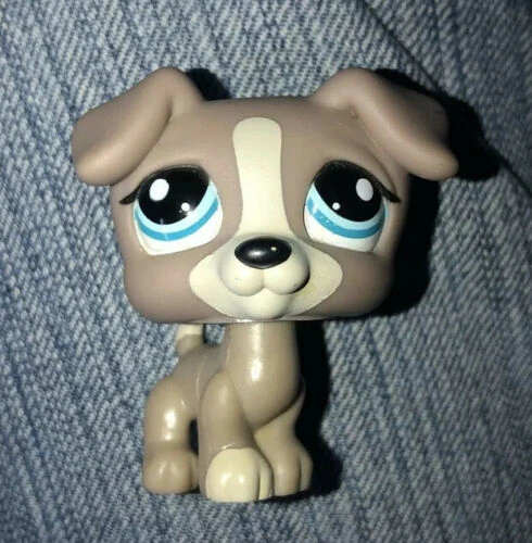 Jack Russell 1832 | Littlest Pet Shop Collector's Wiki | Fandom