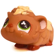 Guinea Pig 753 | Littlest Pet Shop Collector's Wiki | Fandom