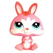 Dwarf Rabbit 2407 | Littlest Pet Shop Collector's Wiki | Fandom