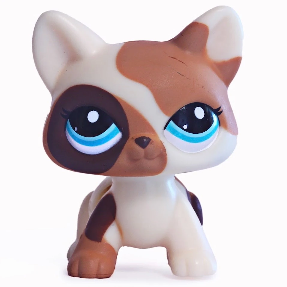 Cat 2475 | Littlest Pet Shop Collector's Wiki | Fandom