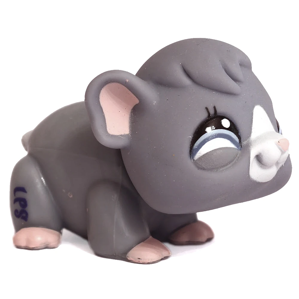 Guinea Pig 1368 | Littlest Pet Shop Collector's Wiki | Fandom