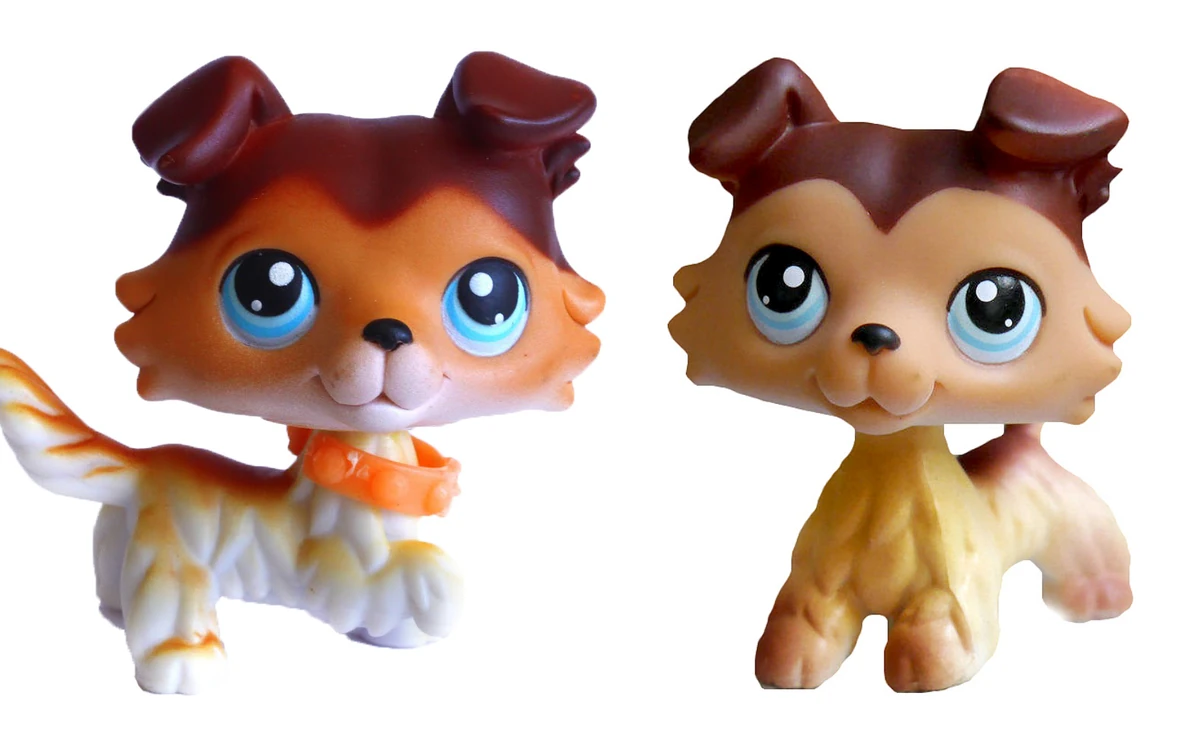 Collie 058 | Littlest Pet Shop Collector's Wiki | Fandom
