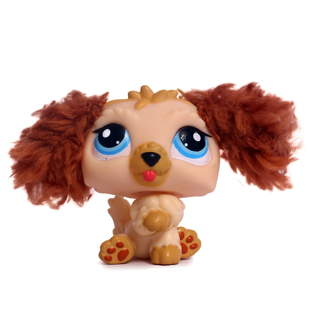 Labradoodle 2421 | Littlest Pet Shop Collector's Wiki | Fandom