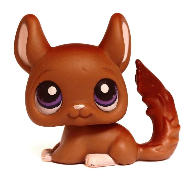 Chinchilla 314 | Littlest Pet Shop Collector's Wiki | Fandom