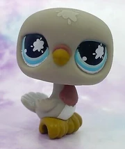 Pigeon 812 | Littlest Pet Shop Collector's Wiki | Fandom