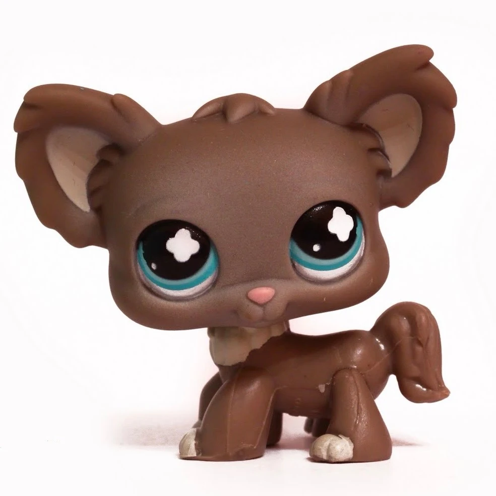Chihuahua 836 | Littlest Pet Shop Collector's Wiki | Fandom