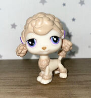Poodle 736 | Littlest Pet Shop Collector's Wiki | Fandom