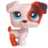 Jack Russell 151 | Littlest Pet Shop Collector's Wiki | Fandom