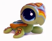 Sea Turtle 1836 | Littlest Pet Shop Collector's Wiki | Fandom