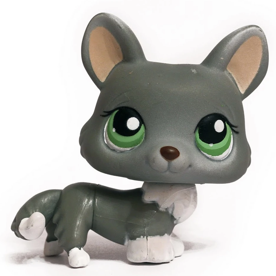 Corgi 367 | Littlest Pet Shop Collector's Wiki | Fandom