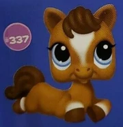 Horse 337 | Littlest Pet Shop Collector's Wiki | Fandom