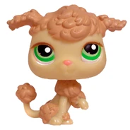Poodle 146 | Littlest Pet Shop Collector's Wiki | Fandom
