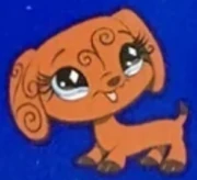 Dachshund 640 | Littlest Pet Shop Collector's Wiki | Fandom