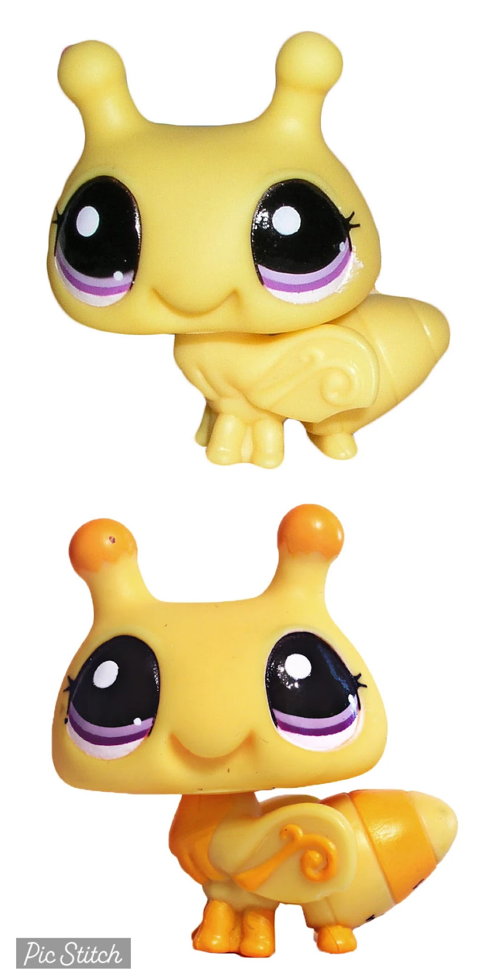 Bee 2596 | Littlest Pet Shop Collector's Wiki | Fandom