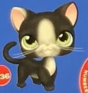 Shorthair Cat 336 | Littlest Pet Shop Collector's Wiki | Fandom