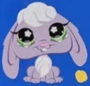 Rabbit 648 | Littlest Pet Shop Collector's Wiki | Fandom