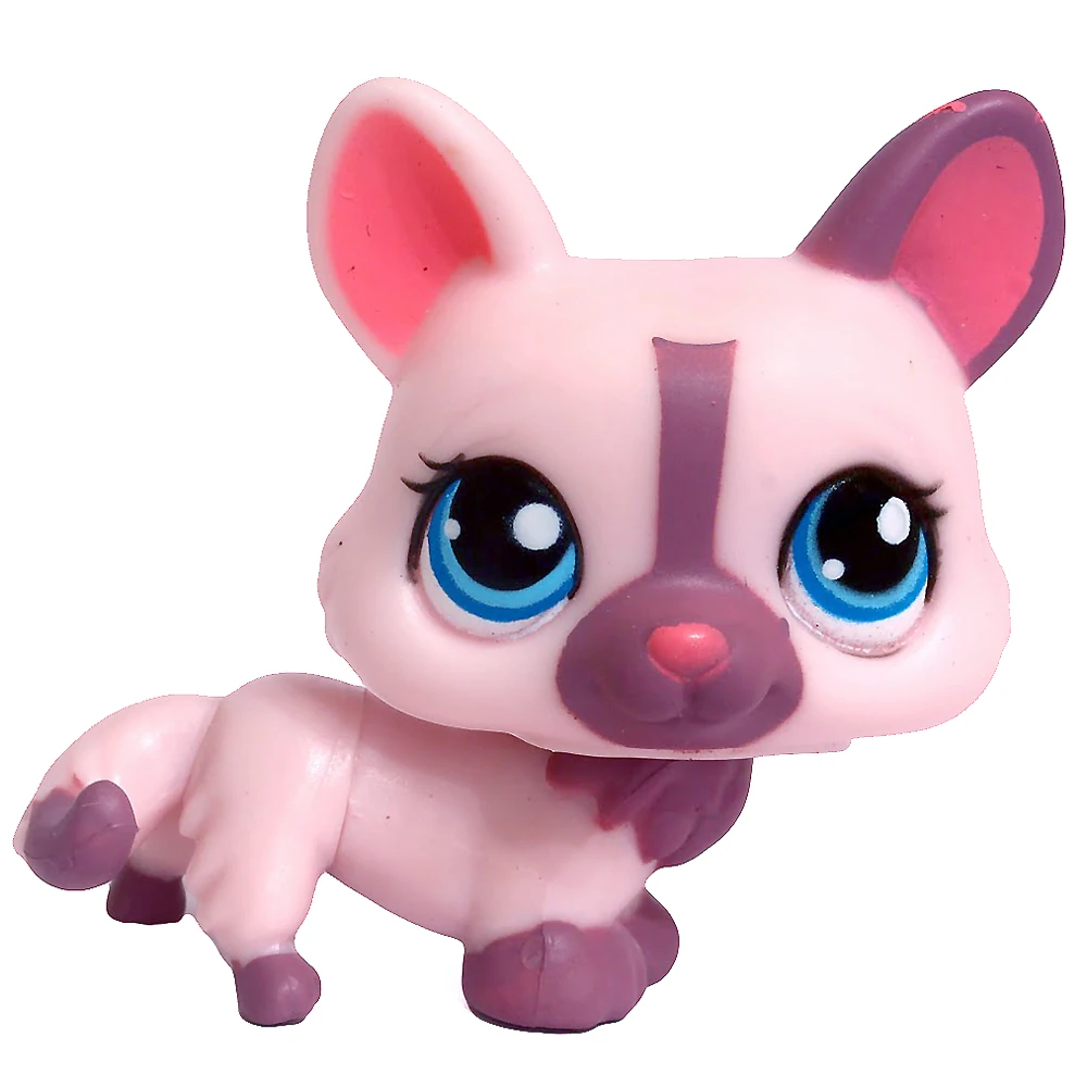 Corgi 1645 | Littlest Pet Shop Collector's Wiki | Fandom