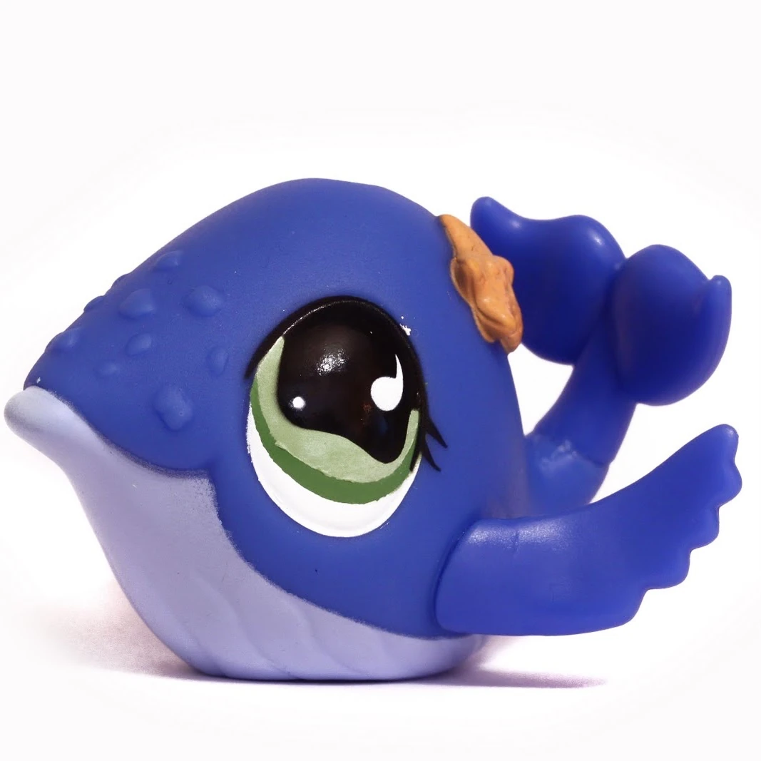 Whale 895 | Littlest Pet Shop Collector's Wiki | Fandom
