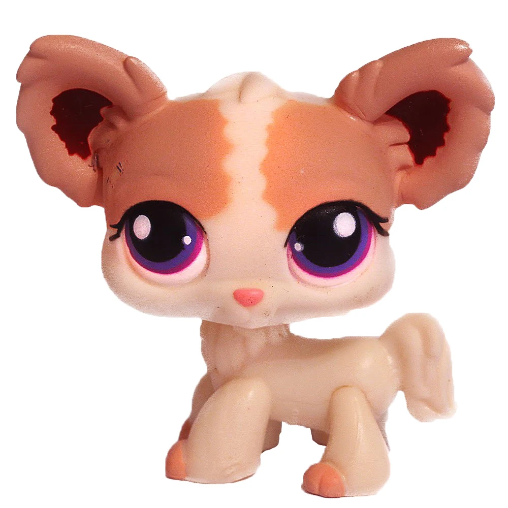 Chihuahua 438 | Littlest Pet Shop Collector's Wiki | Fandom