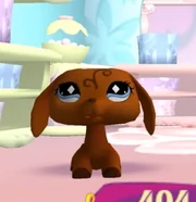 Dachshund 640 | Littlest Pet Shop Collector's Wiki | Fandom