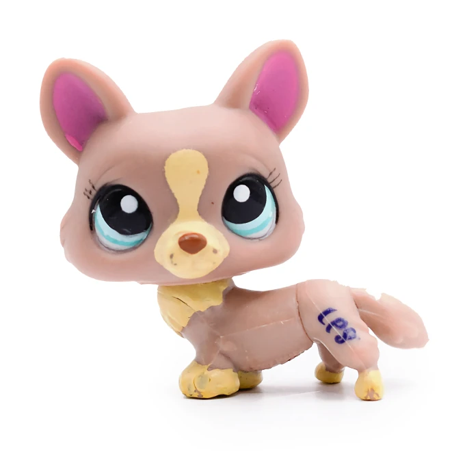 Corgi 1158 | Littlest Pet Shop Collector's Wiki | Fandom