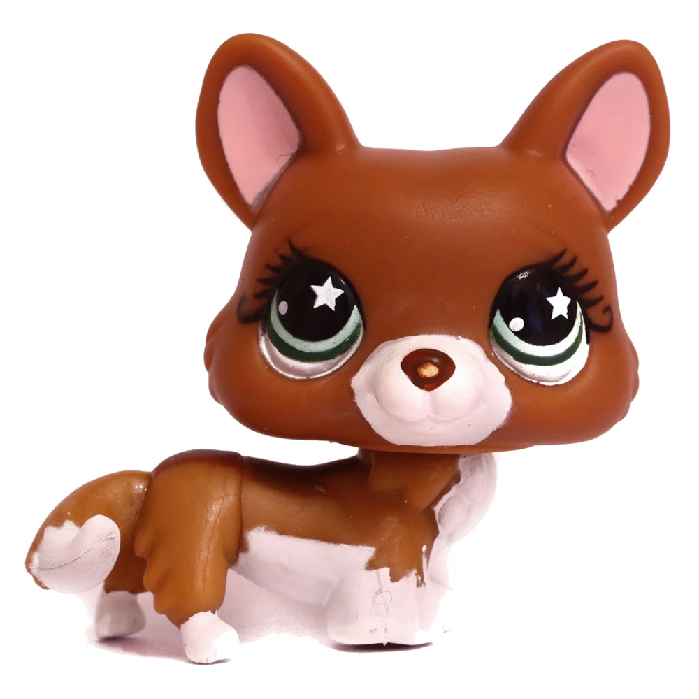 Corgi 897 | Littlest Pet Shop Collector's Wiki | Fandom