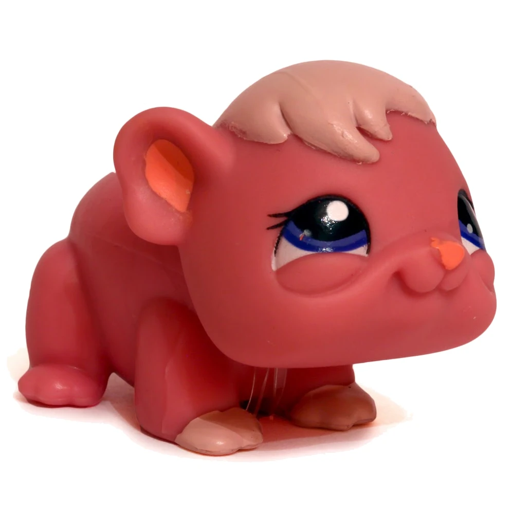 Guinea Pig 1773 | Littlest Pet Shop Collector's Wiki | Fandom