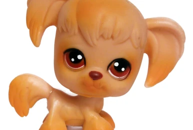 cocker spaniel lps numbers