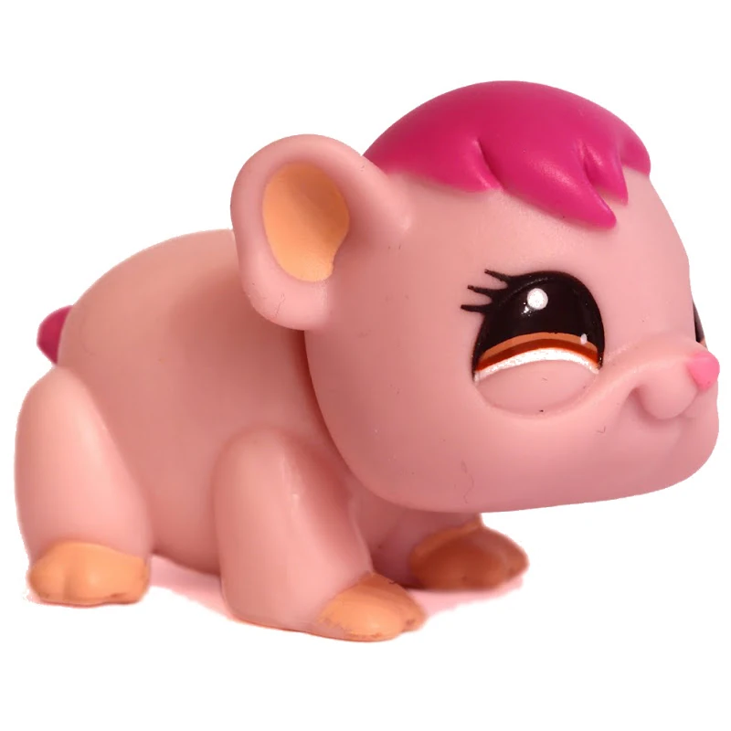 Guinea Pig 1406 | Littlest Pet Shop Collector's Wiki | Fandom