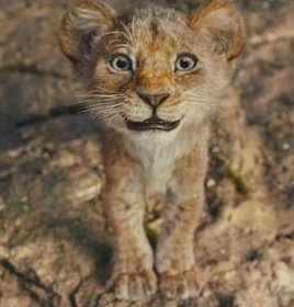Kiara | The live action lion king Wiki | Fandom